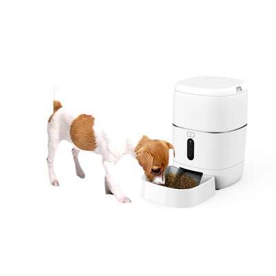 Food Auto Bowls Automatic Pet Feeder For Dogs Cats
