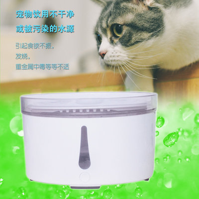 Dog Cat Water Fountain 2L Smart  Timed Automatic Pet Feeder